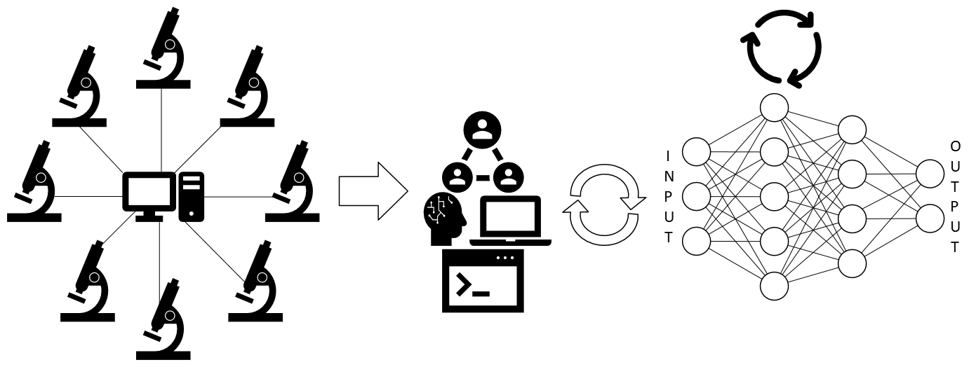 Infographic for Towards a Materials Electron Microscopy-Based Machine Learning Models